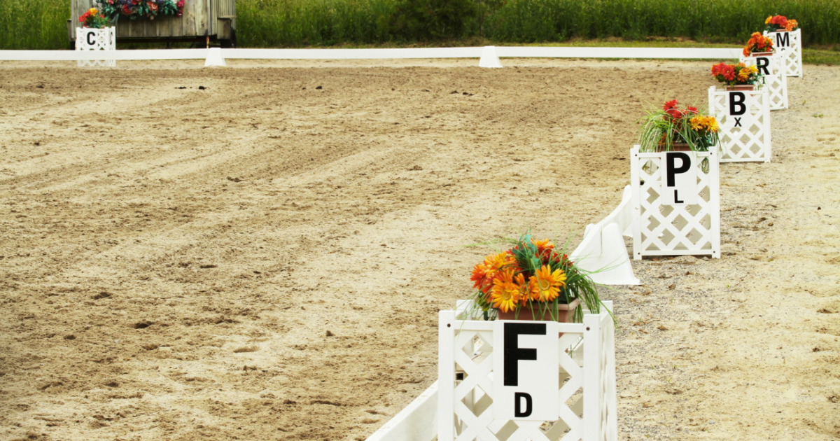 Streamlining Online Horse Show Entries with Equestrian Technology | Pegasus